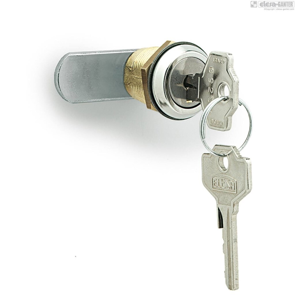 CS.20/32-20 Elesa Hefboomgrendel met sleutel | BI14662